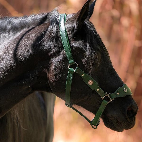 Anatomical French Bridle Lazypony With Reins, Leather Custom Bridle ...