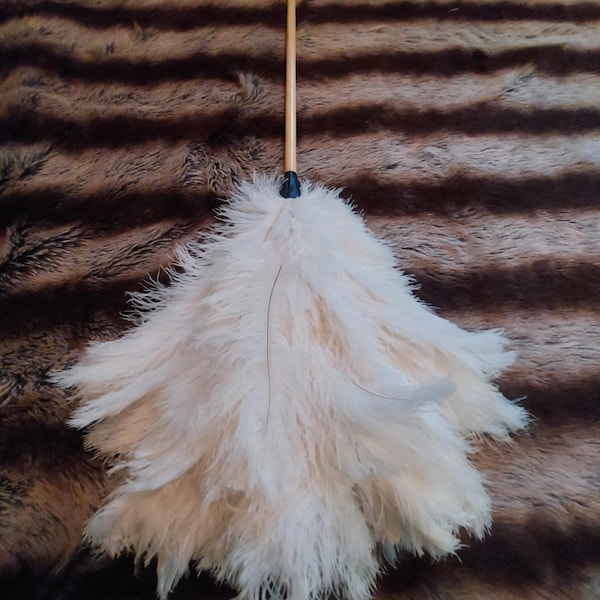 Special Display Emerald, Green First Grade Ostrich Feather Display ...