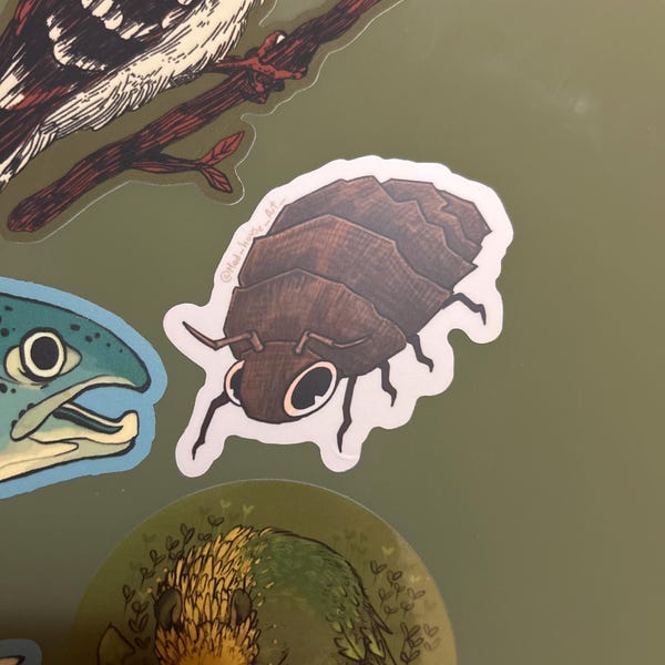 Sad Fwog Sticker - Etsy