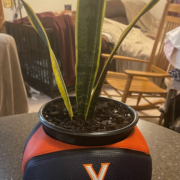 Mini Pink Basketball Planter | Hypebeast Decor | Sports Gift | Nike ...