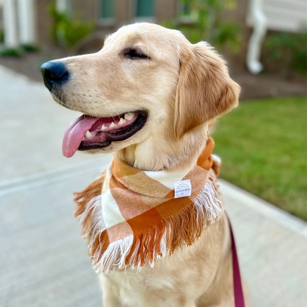 Autumn Pumpkin Bandana, Fall Bandana, Button on Bandana, Tie on Bandana ...
