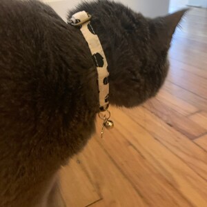 MOO Collar Cow Print Collar Animal Print Collar Collar for Dog Collar ...