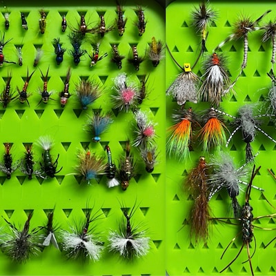Hydropsyche Caddis Larva Trout Flies Colorado Fly Fishing Flies Caddis ...