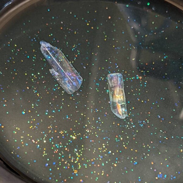 Incense All Hallow's Eve Fresh Hand Dipped Charcoal 20 Sticks Autumn ...