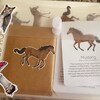 Horse Unit Study Physical Bundle - Etsy
