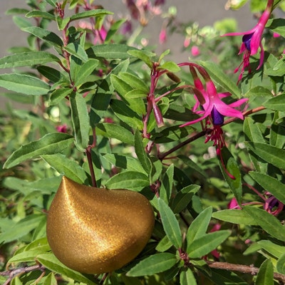 Korok Seed Set of 5 Golden Poop Zelda Breath of the Wild BOTW 3D ...