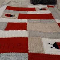 LADYBUG Pattern for Crocheted Blanket - Etsy Canada