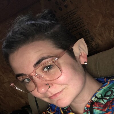 Custom Painted Elf Ears for Halfling Hobbit Arwen Lord of the Rings ...