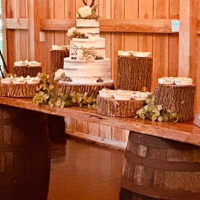 Thick Level White Birch Slabs, Dried Birch Tree Disk, Tree Slices ...