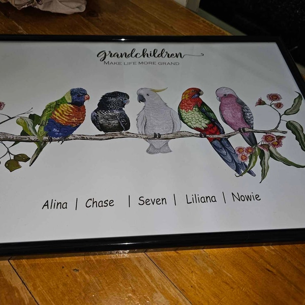 Australian Native Bird Print Kookaburra Black Cockatoo Rainbow Lorikeet ...