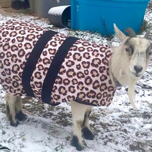 Insulated KID Goat Coat 14 Topline Perfect for - Etsy