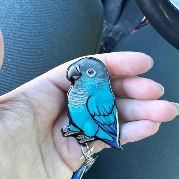 Red Panda Magnet: Gift for Red Panda Lovers Chinese Animal Cute Animal ...