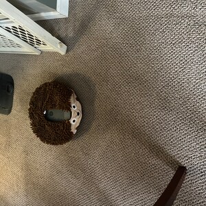 Roomba Covers, Roomba Decals, Gift Ideas, Cleaning Hacks, Robots, Home ...