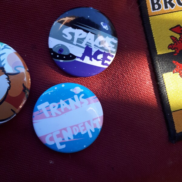 LGBTQ PRIDE PUNS Button | Asexual, Aromantic, Pansexual, Lesbian ...