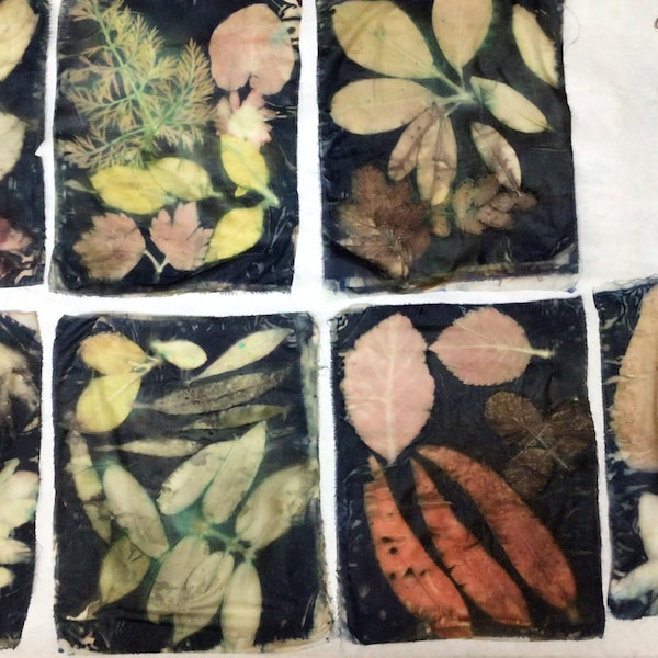 Ecoprint on Paper in Color and Natural, 69 Pages With Photos,complete ...