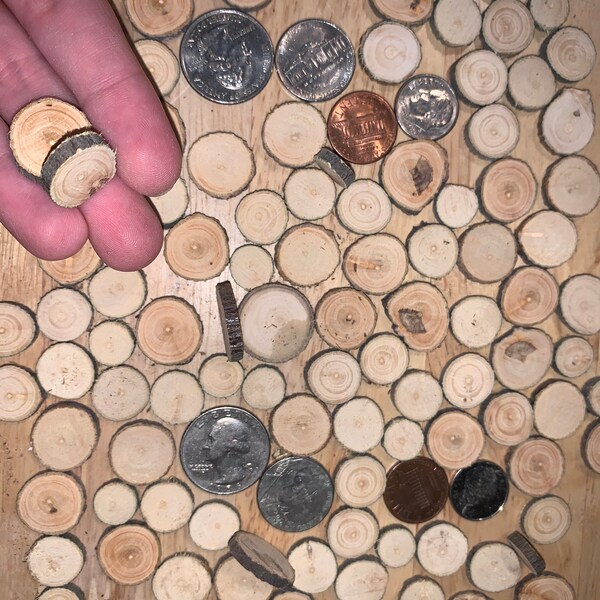 Rowan Branches, Home Decor. 25 Dried Branches 12 Inch, Wood Decor ...