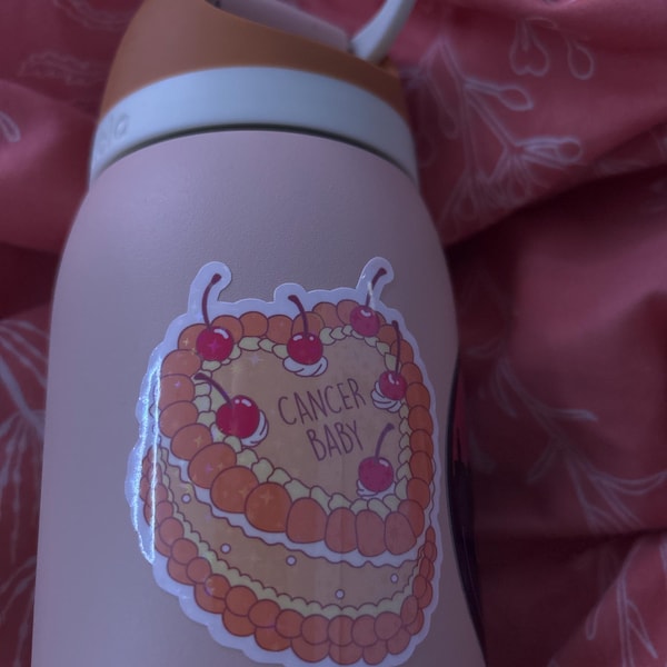 Zodiac Cakes Sticker for Phone Stickers Stickers for Girl Bow Journal ...