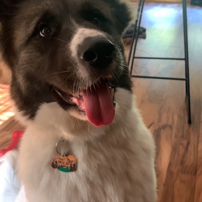 Wilderness Dog Tag for Dogs Tree Dog Tag Personalized Pet ID - Etsy