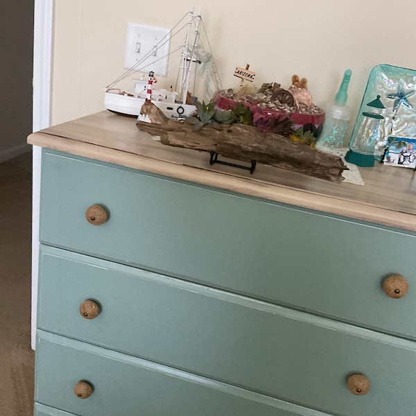 RARE Live String of Turtles Succulent Available in Multiple Sizes ...