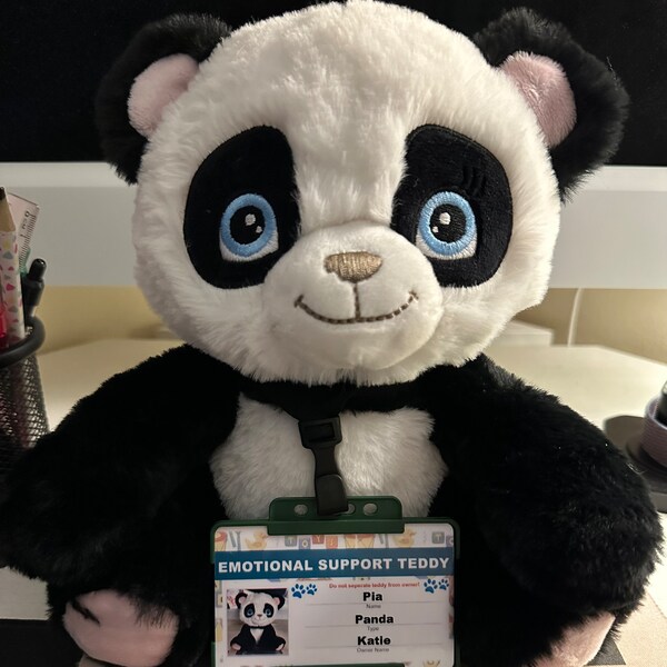 Spacex Cosplay ID Card Authentic Replica for Space Enthusiasts - Etsy