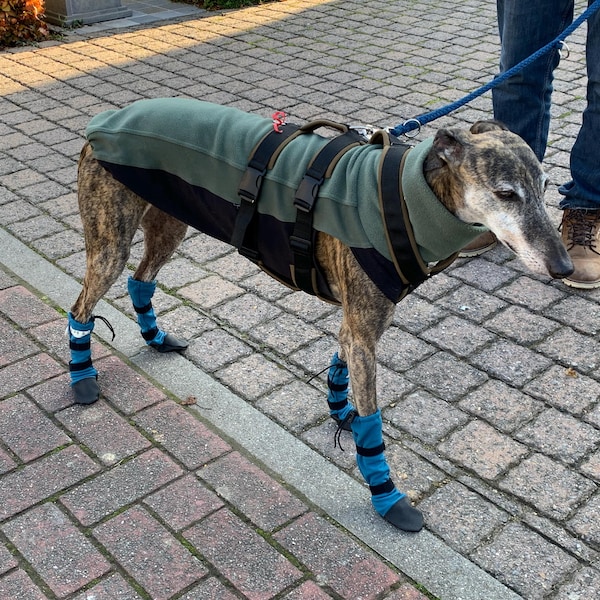 Sighthound Heat Protection Coat, Whippet Cooling Coat,iggy Sun ...