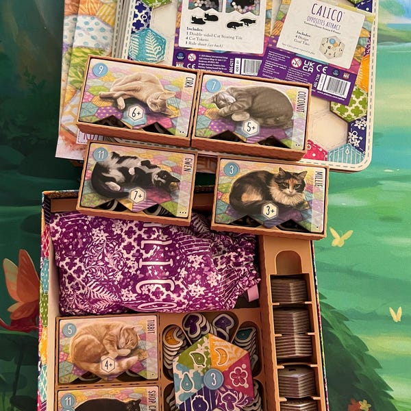 Splendor & Expansions Box Organizer Insert - Etsy