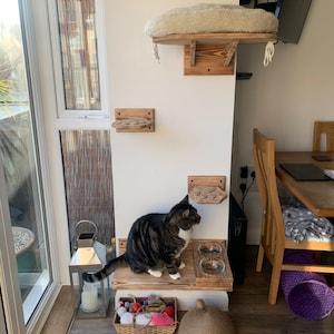 Large Wall Mounted Floating Cat Perch Bed With Pillow and Paw Shape ...