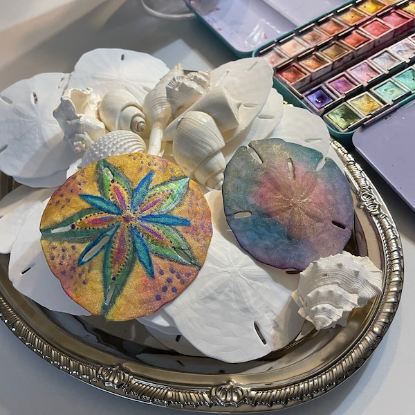 White Sea Shell Mix Beach Wedding Decor Sea Shells Bulk Bag of Shells ...