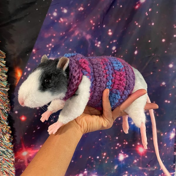 Rat Sweater - Cozy Sweater - Pet Sweater - Red Heart - Yarn - New ...