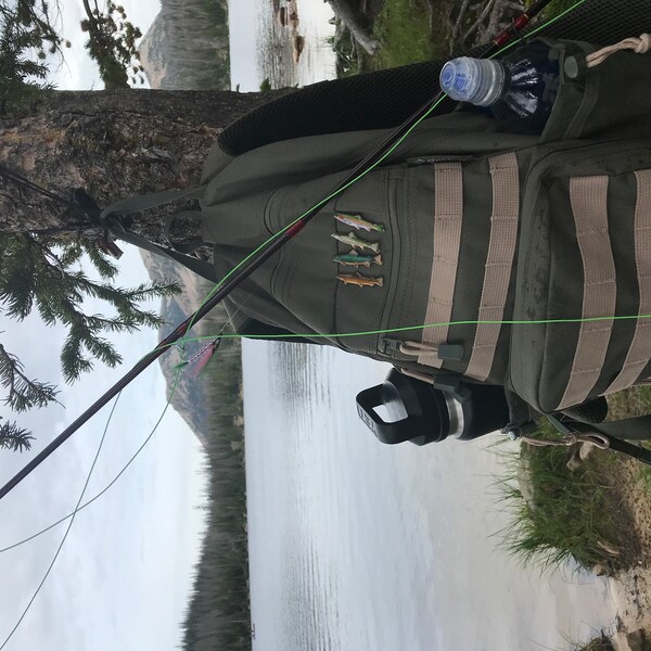 Arapaima Fish Lapel Pin - Etsy