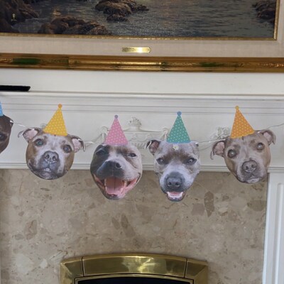 Personalise to Your Pet Happy Birthday Party Pet Banner - Etsy