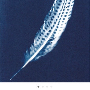 Botanical Art Cards, Multi Pack of Five Cards From Original Wet ...