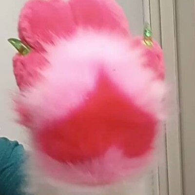 Toony Footpaw Fursuit Kemono Toony Kigurumi Fursona Kawaii Outdoor Foot ...