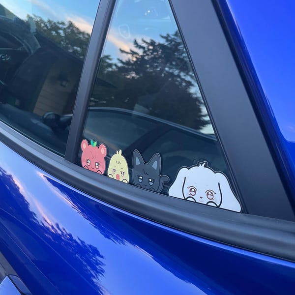 Stray Kids Skzoo Mini Pickets Individual Members | SKZ KPOP Mini Fans ...