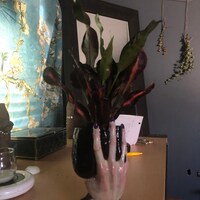 100mm Giant Wooden D20, Large Number Dice Kit or Assembled Icosahedron ...