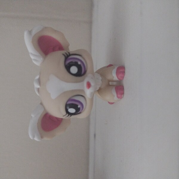 Littlest Pet Shop Rare Vintage LPS Chihuahua Dogs Accessories Lots ~YOU ...