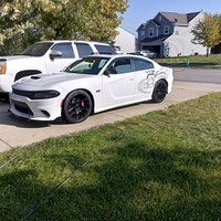 Bumble Bee Angry Bee Decal Kit for 2015-2020 Dodge Challenger Charger ...