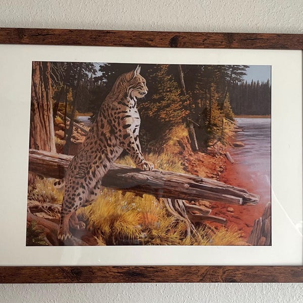 Vtg New Unused Cafe Curtain Rod Rings, 1 Inch Inside Diameter // Kirsch ...