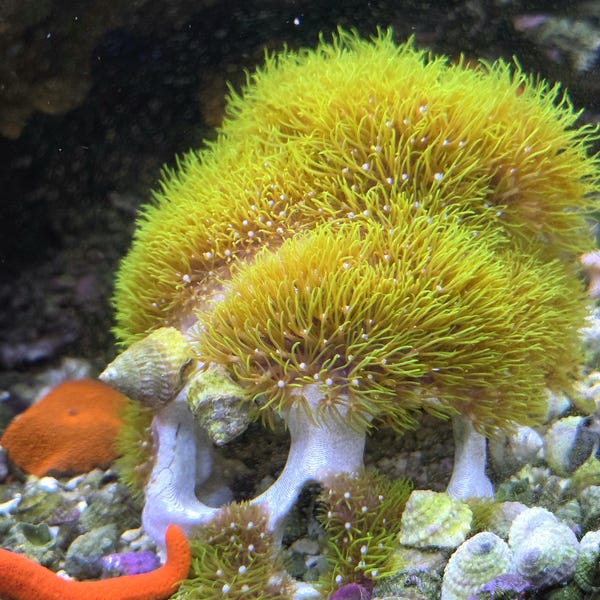 Reptile Repti Threaded Air Vents | STL File With Commercial Licensing ...