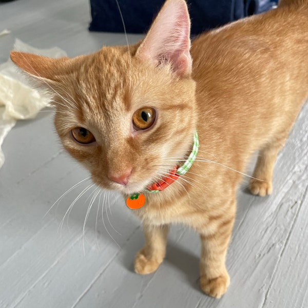 Clementine Cat Collar, Green Gingham Cat Collar With Clementine Charm ...