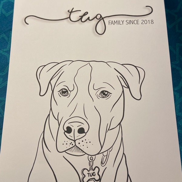 Lilly Inspired Pet Name Line Drawing Portrait - Etsy