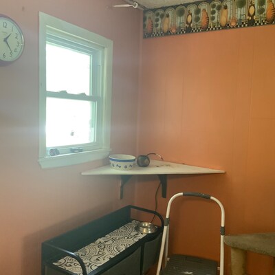 Nautical Living Wallpaper Border, Green Blue Tropical Beach Scene ...