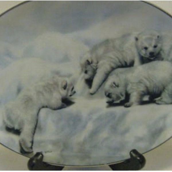 Men's Watch Mreurio Quartz Movement 20 Genuine Leather Band Strap Brown ...