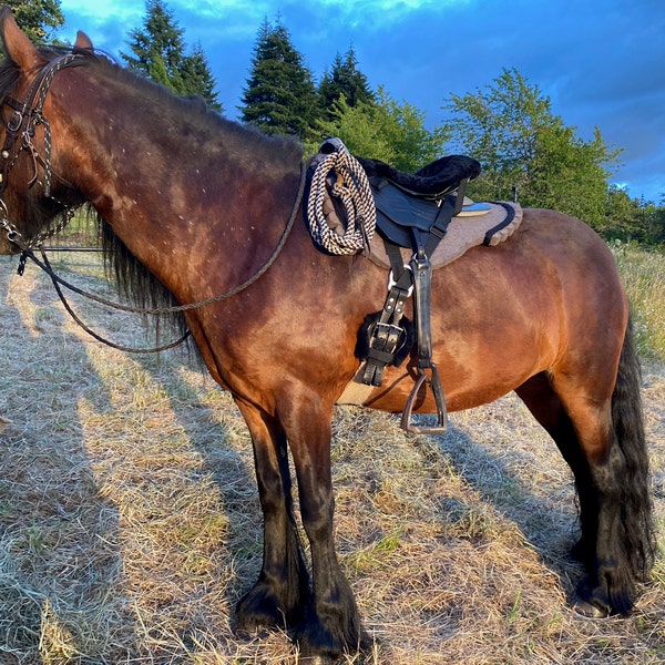 One PAIR Australian Merino Sheepskin CINCH Ring Buckle or Billet Pads ...