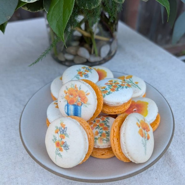 Tennis Ball French Macarons Available in 12 and 24 Pack - Etsy