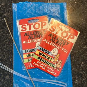 Custom Food Allergy Stickers for Lunch Boxes Labels School Children ...