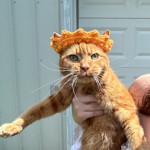 Alien Cat Costume Toy Story Alien Cat Hat Crochet UFO Cat - Etsy