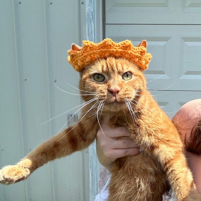 Alien Cat Costume Toy Story Alien Cat Hat Crochet UFO Cat - Etsy