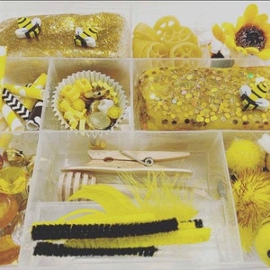Busy Bee Box Invitation to Play Sensory Play Sensory Bin - Etsy