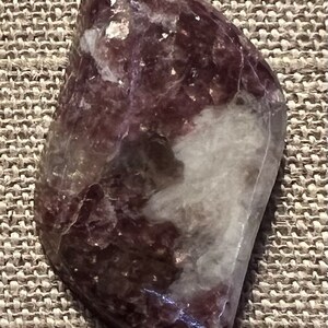 Turritella Agate Slab, Rough Slice for Lapidary, Stone Specimen, Fossil ...